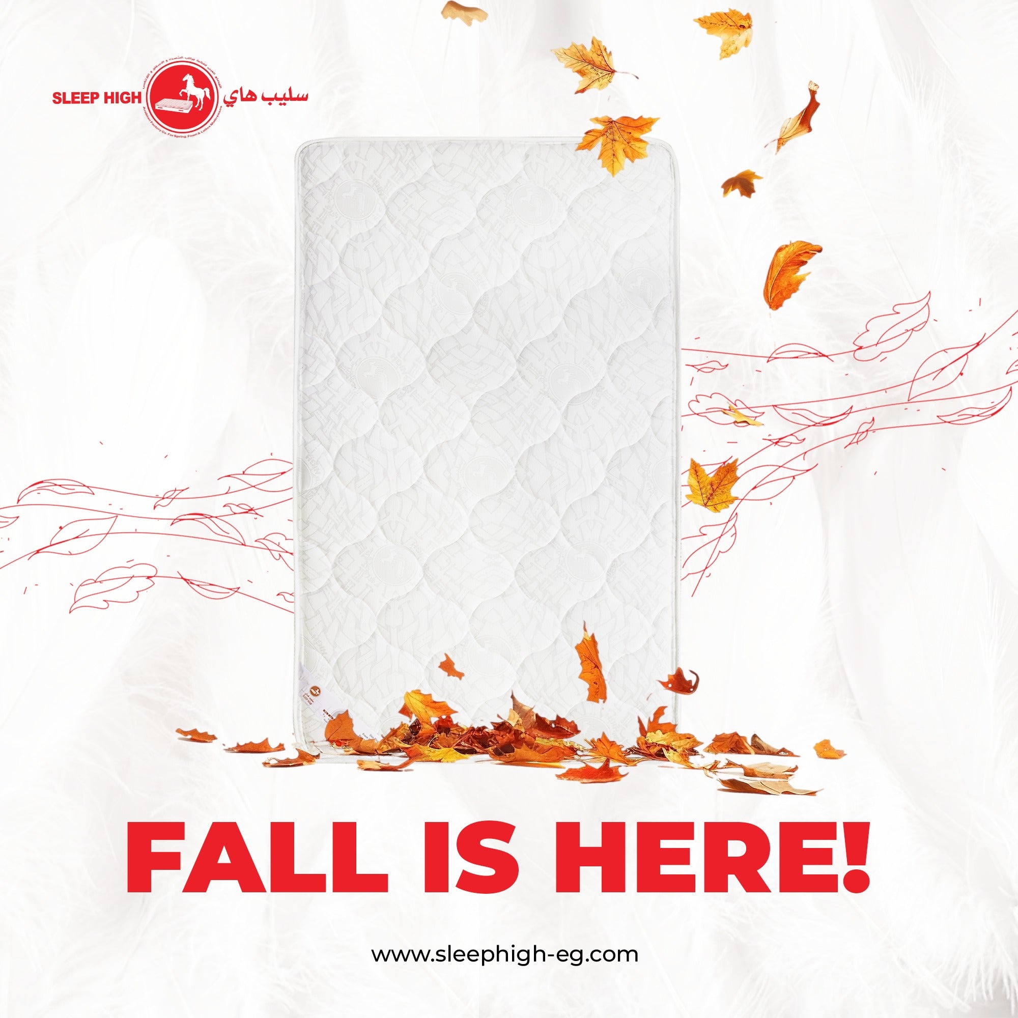 الرئيسية | سليب هاي – SleepHigh
