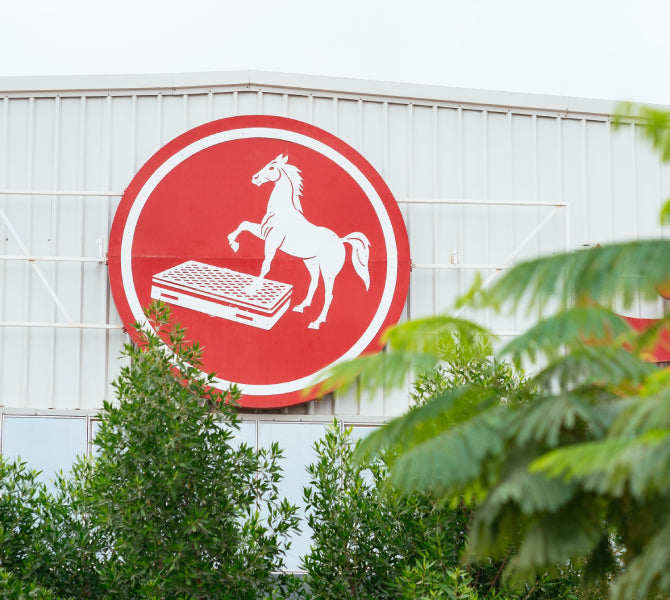 About us – SleepHigh